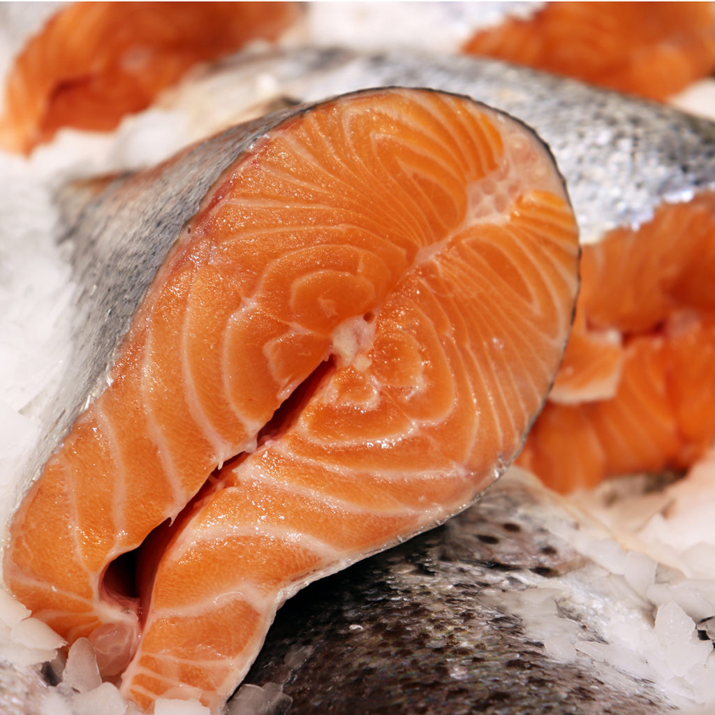 Frischer Fisch auf den Tisch – lebensmittelmagazin